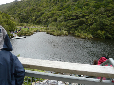 dieweltvonunten: Karori Wildlife Sanctuary/Zealandia