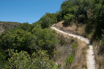 Monterey Hikes: Toro County Park