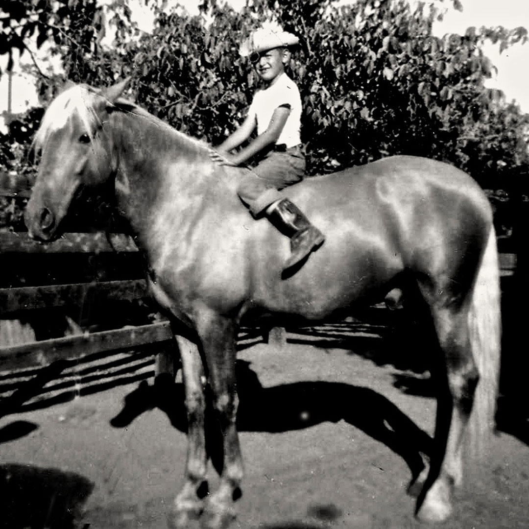 Bob Strini: November 2010