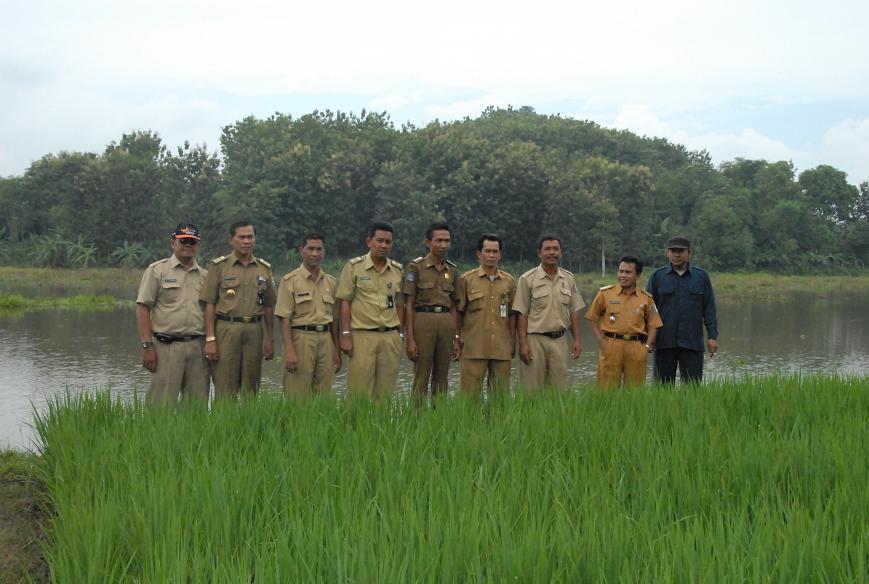 Sya'ir Cinta "ANDAN JEJAMA": POTENSI WISATA RAWA KUNING PESAWARAN