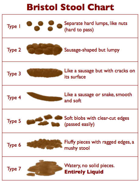 Everyday Interest: Types of POOP and what they mean