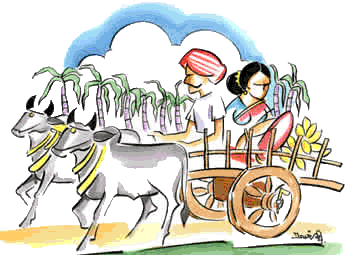 kongu: kongu vellala gounder