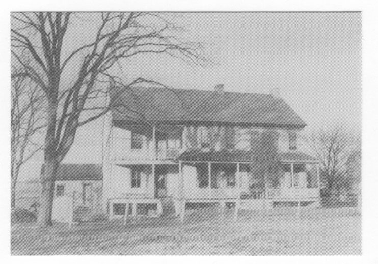 Neff Times: Summer 1995 John Neff