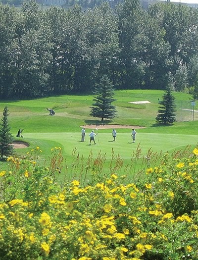 Eat Sleep Golf - Calgary: Maple Ridge Golf Course