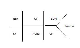 Perspectives in Acute Care Physical Therapy: Notations and Normative ...