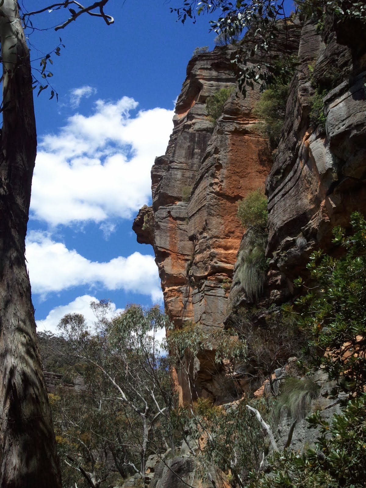 Enjoy Rock Climbing: Mt Boyce, view from Wild is the Wind.