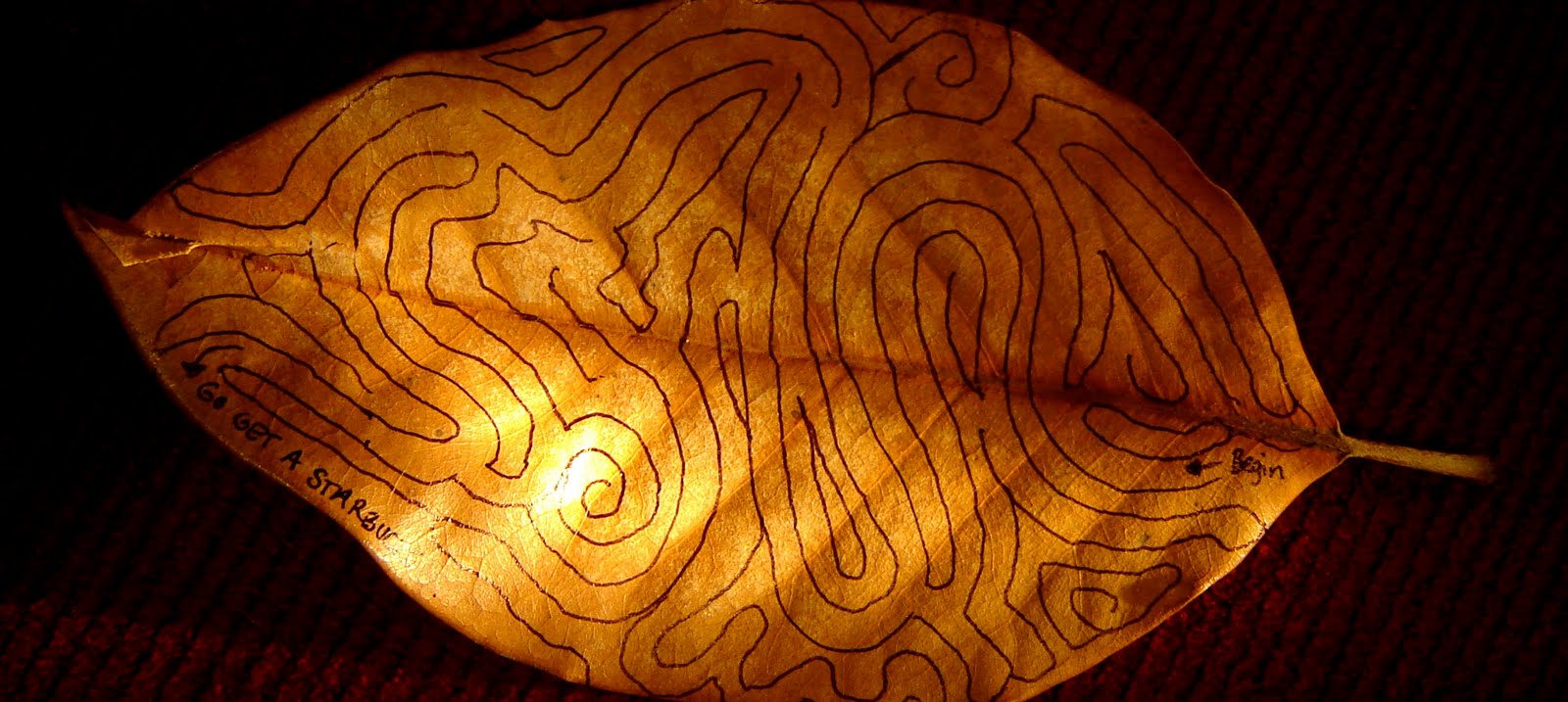 Your Nature: Nature Time: Create A Maze