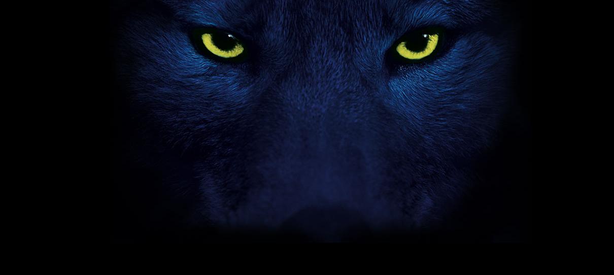 Viralmente: Eristoff - Wolf is Back.