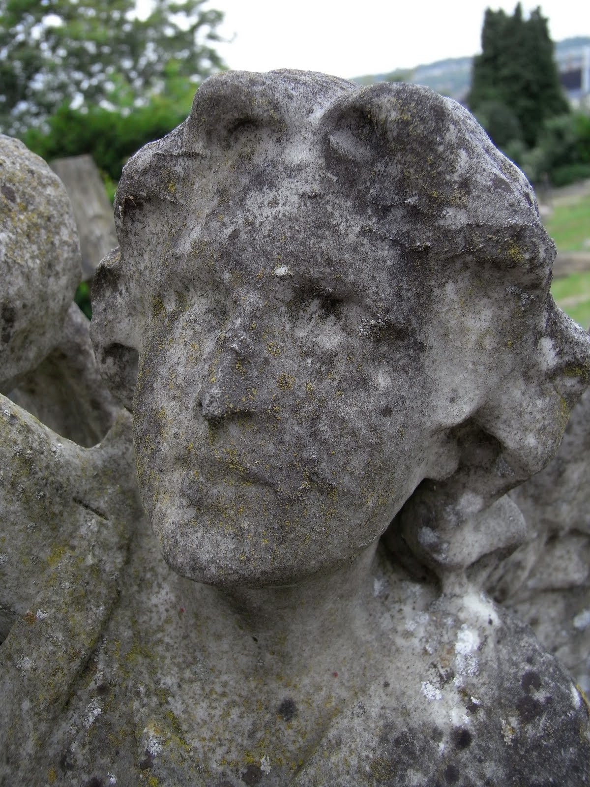 The Graveyard Detective: Fading Angel