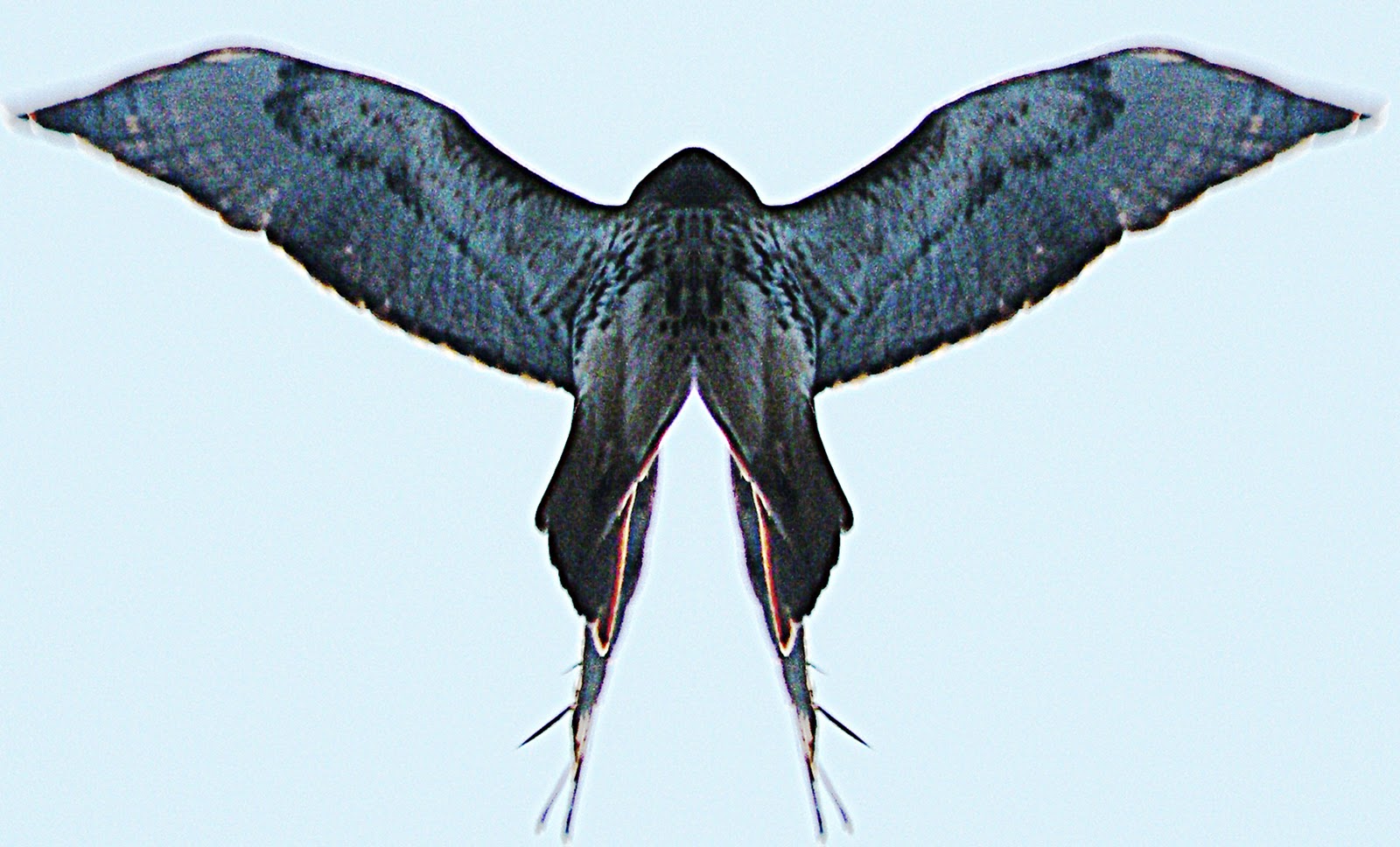 My Art Gallery: alien bird