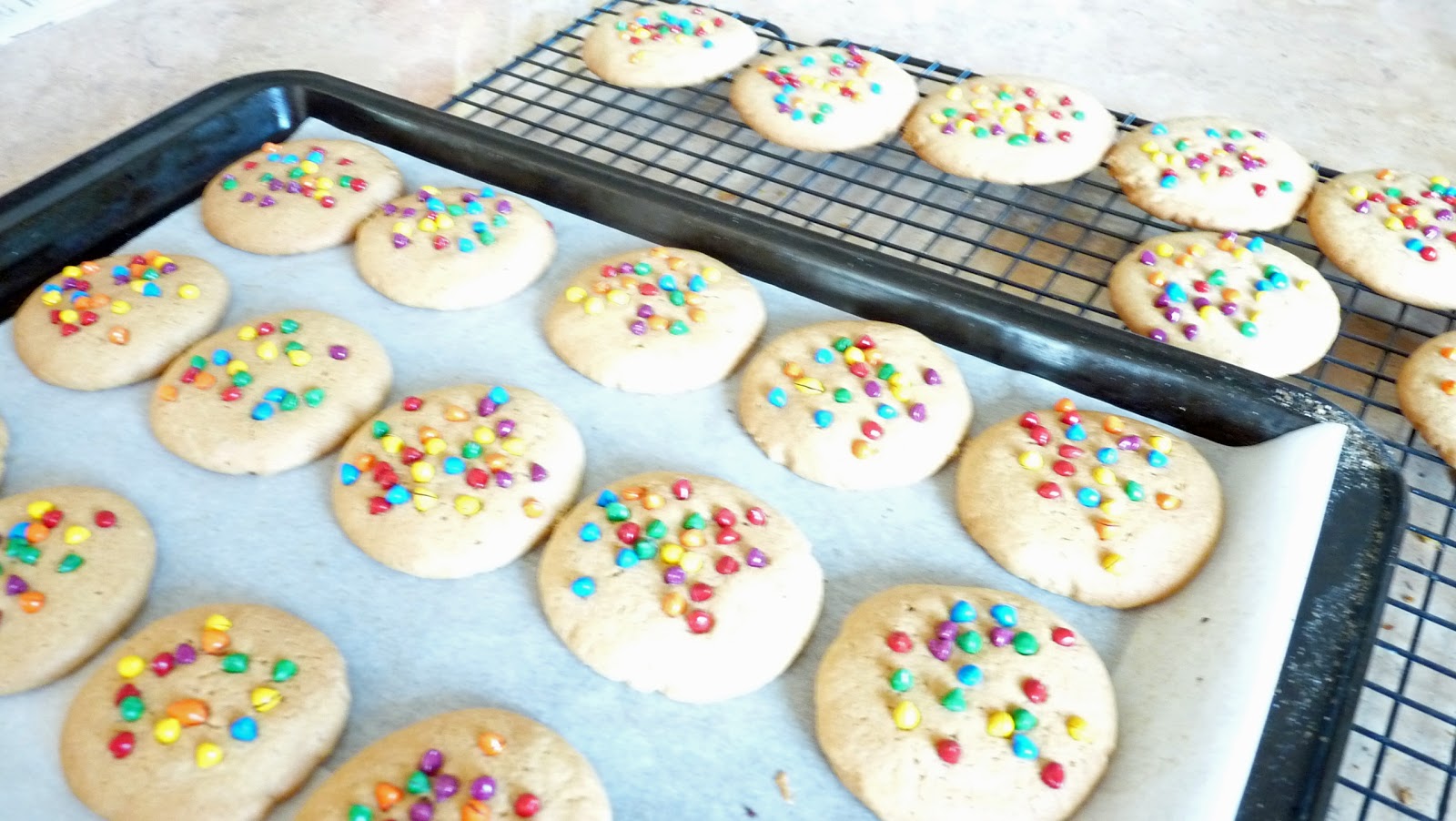 The Bush Gourmand: Smartie Biscuits