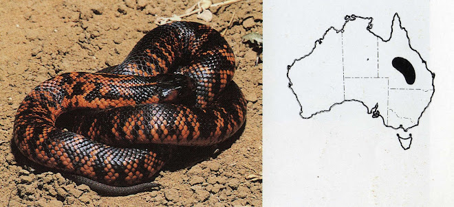 Australias Top Venomous Snakes: The LD50 Method