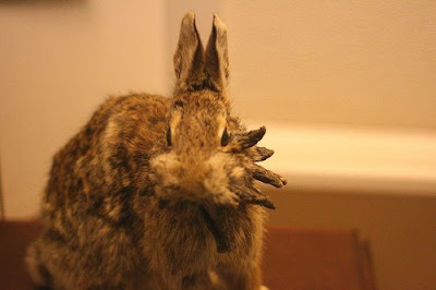 En Trobriand no hay besos: Liebres con cuernos y Gatos con alas