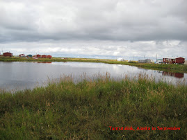 The Grabuloff Family Back From Alaska: Cole and Dave Arrive in Tunt and ...