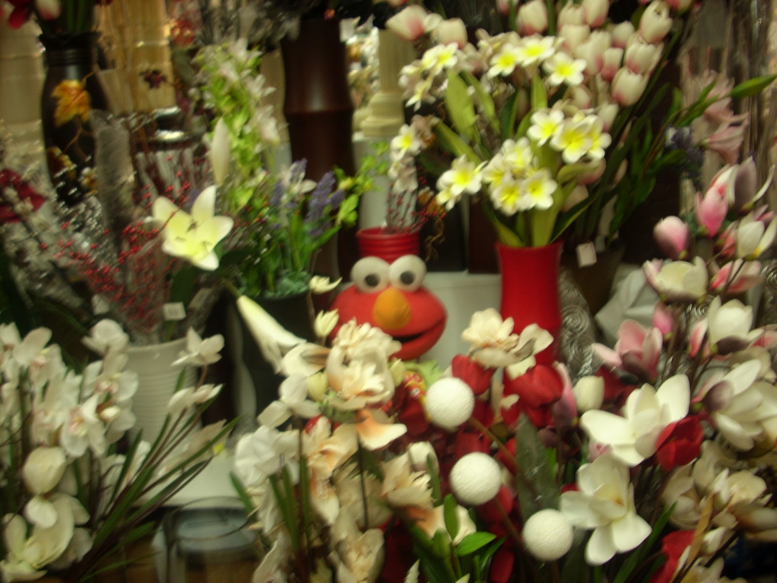 Elmo's World Trip!: Elmo goes go work with Kylie