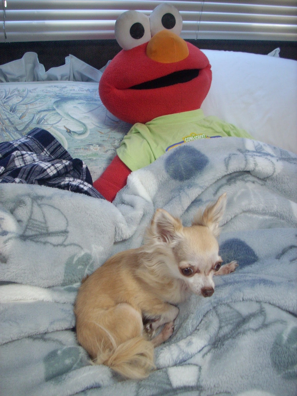 Elmo's World Trip!