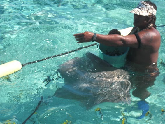 clau & rafa: O melhor de Bora-Bora