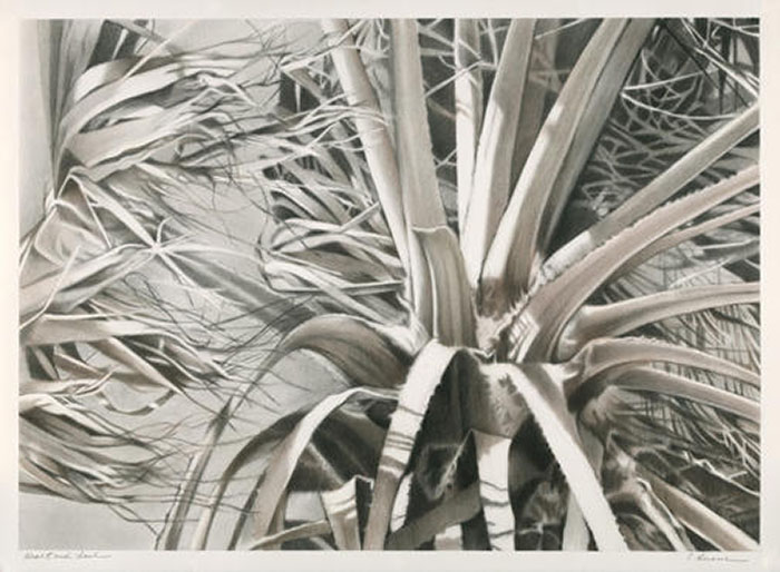 imageT90: Catherine Ruane