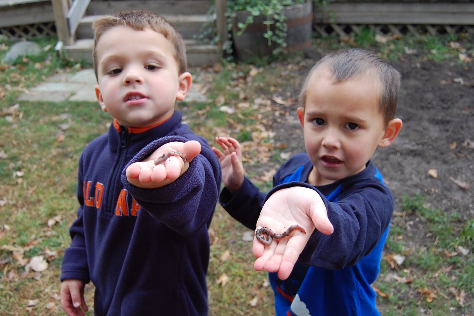 The Montessori Schoolyard: A Good Week for Digging for Worms