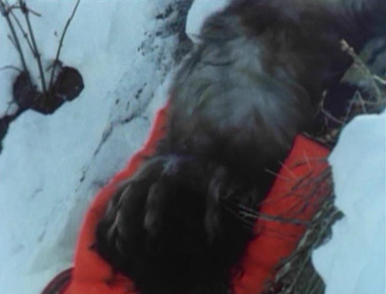 The Haunted Closet: Snowbeast (1977)