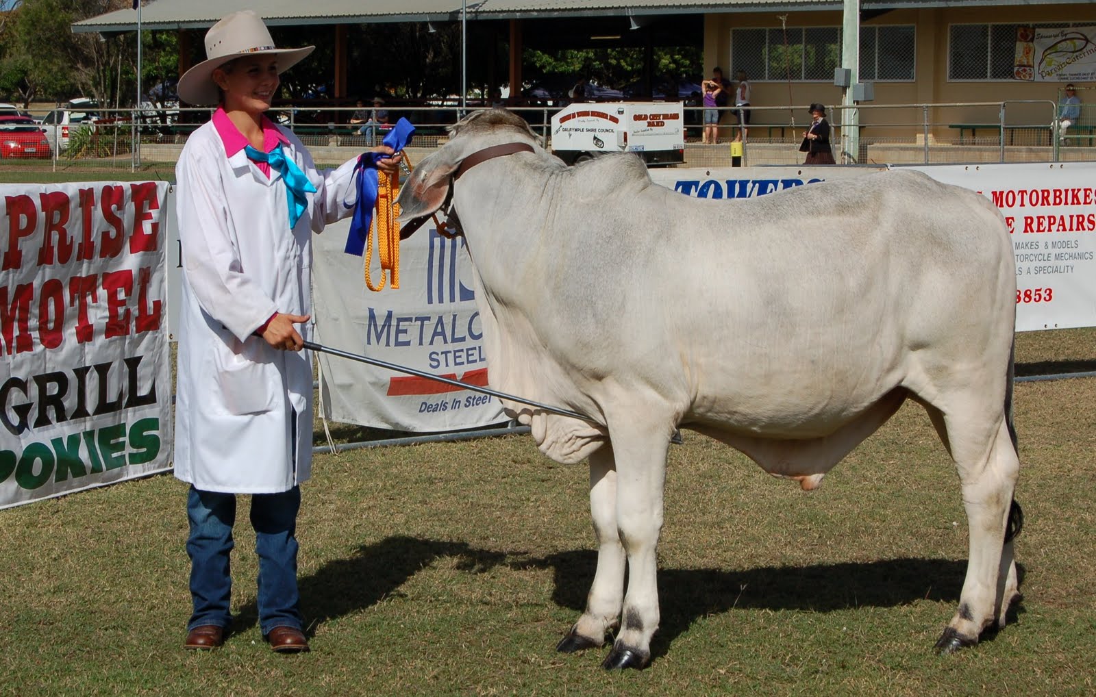 BTC Blog: Cattle Club Representation at Charters Towers Show