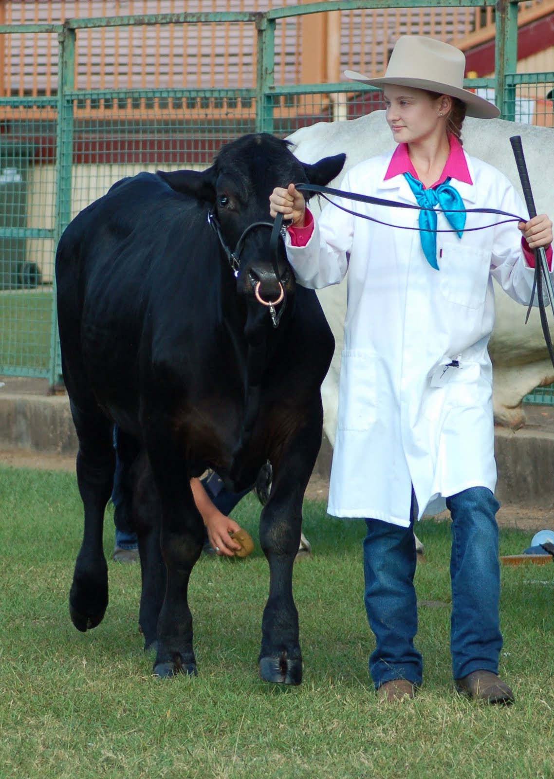 BTC Blog: Cattle Club Representation at Charters Towers Show