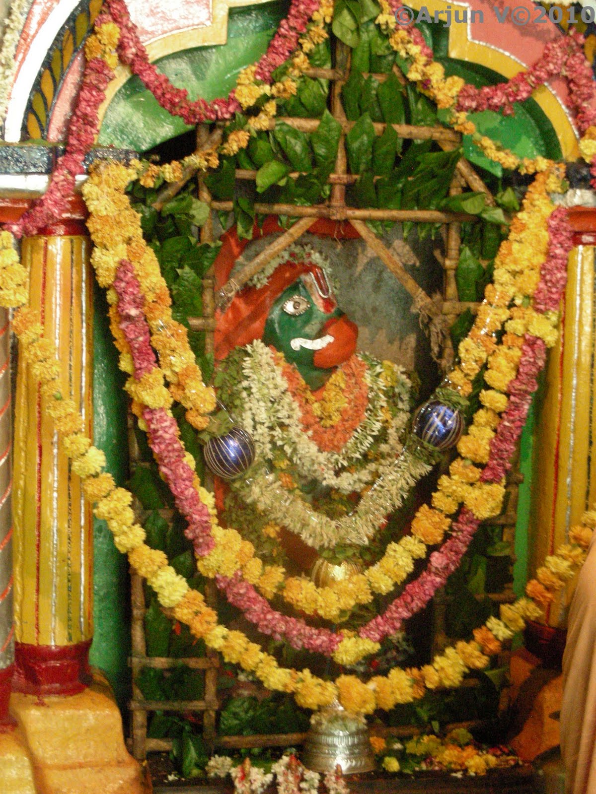 The Wild: Fort Penukonda