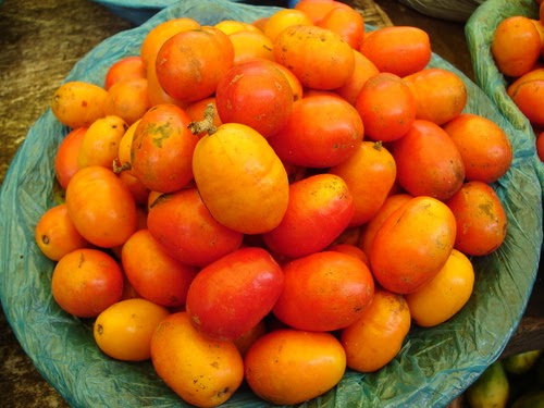 .: Já é tempo de siriguelas