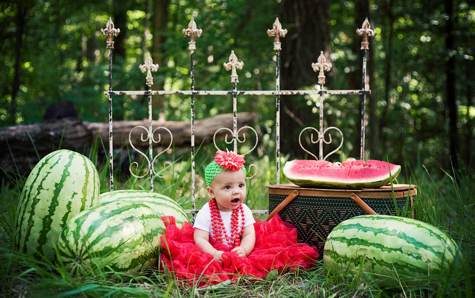 Mitchell Memories: Watermelon Shoot