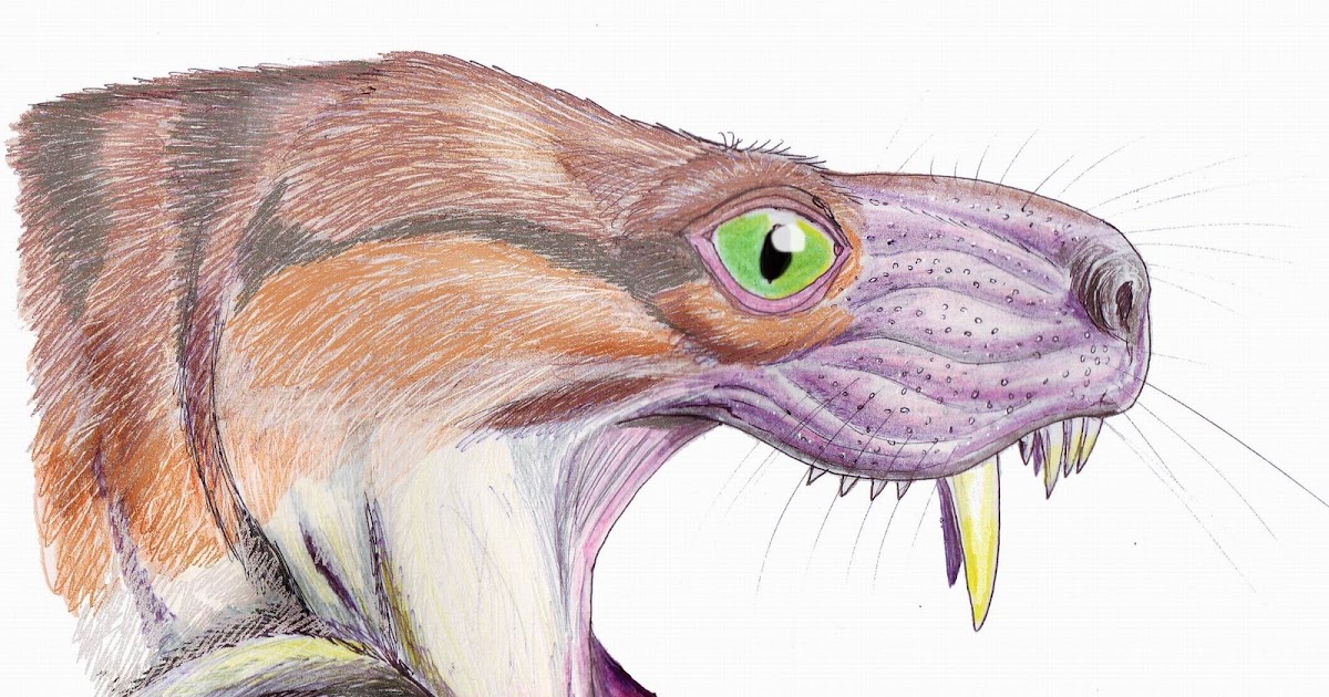 The Dragon's Tales: Moschorhinus: A Therocephalian