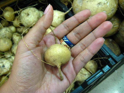 yo sandora: JICAMITAS CAMBRAY