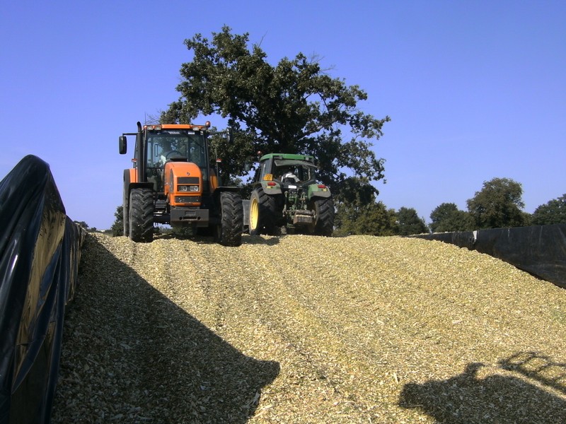 Ensilage: Le tassement