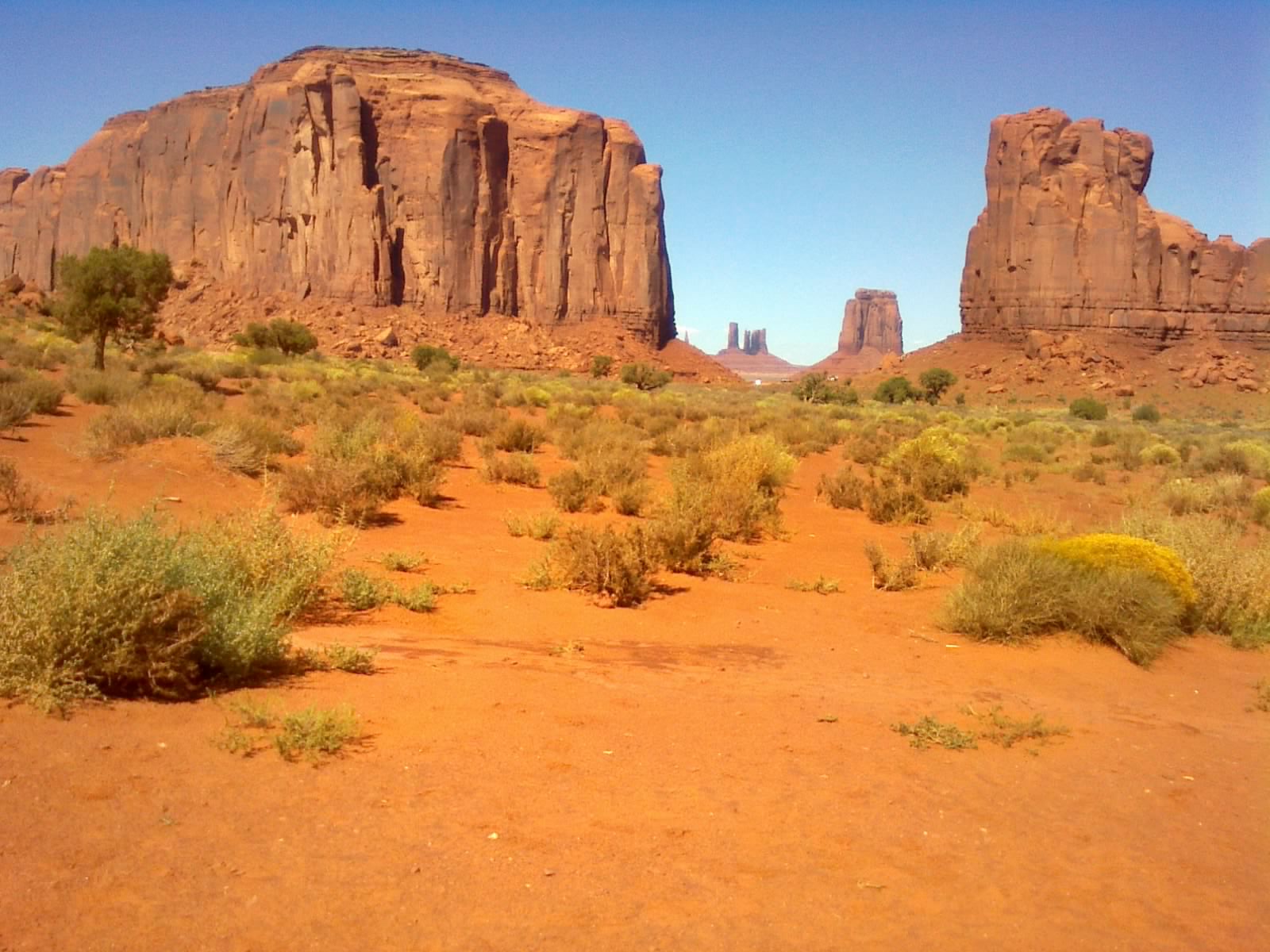 Wallmarks: Wonder: The desert is mighty, the desert is calm.