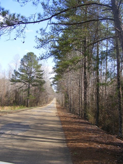 Itawamba Connections: Old Bankhead Highway