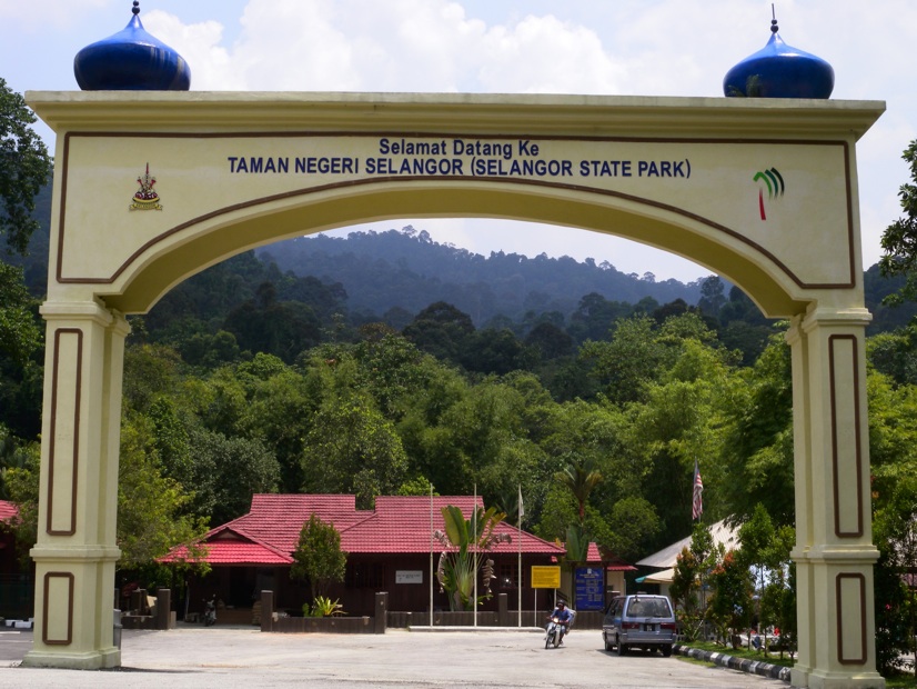 Selangor State Park Taman Warisan Negeri Selangor Site Of The Month Sg Tua Recreational Forest
