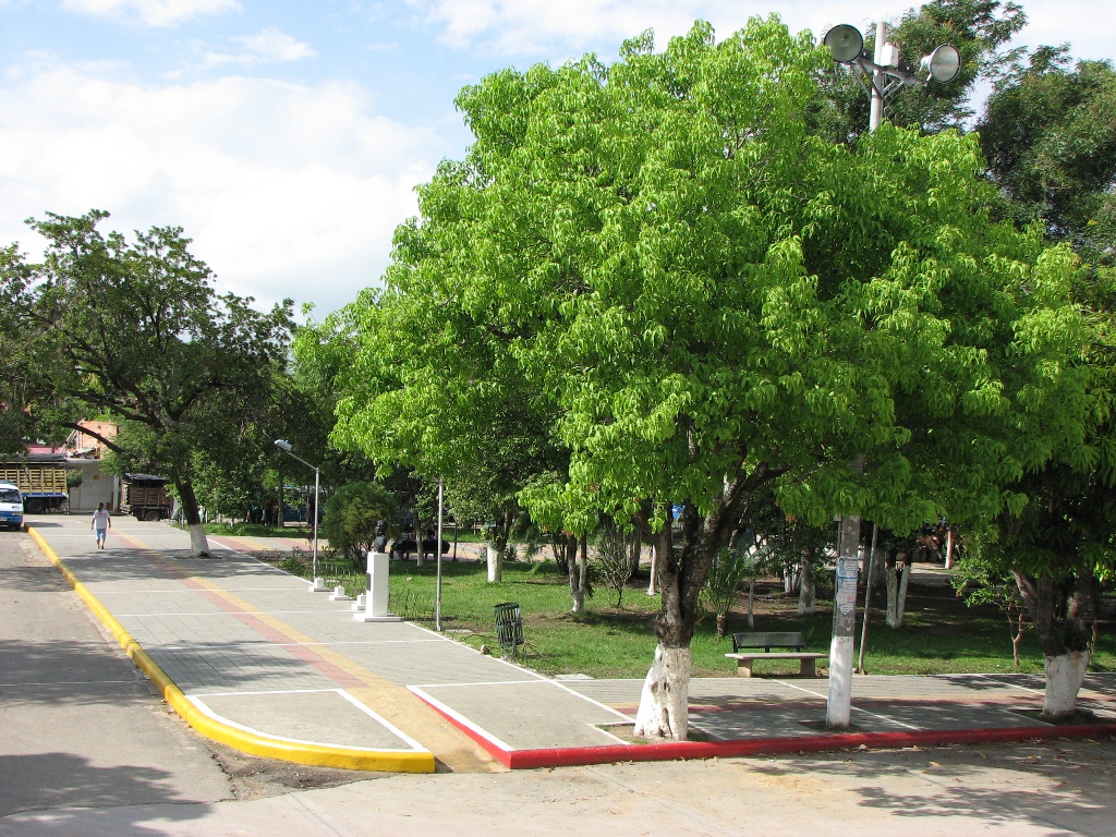 Arte, cultura y turismo: Parque Baraya Huila