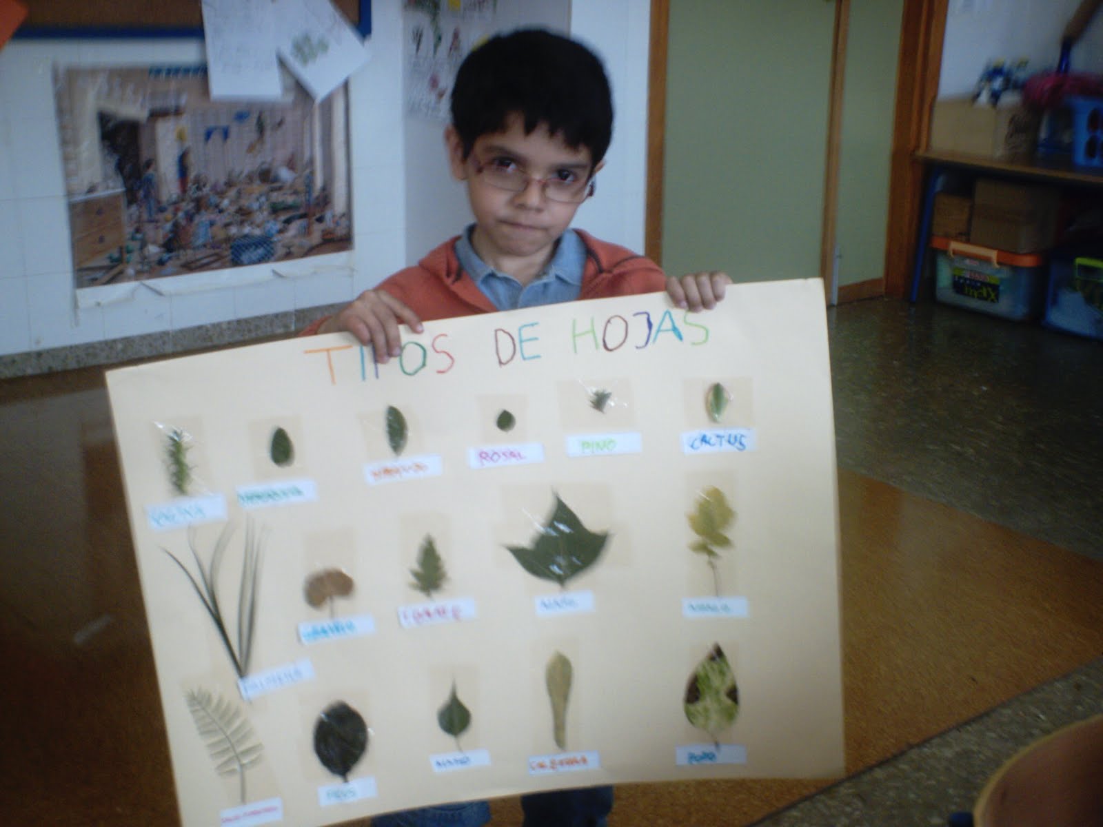 MI CLASE: MI HOJA FAVORITA