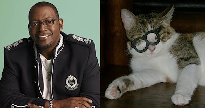 Catsparella: The Cats of American Idol