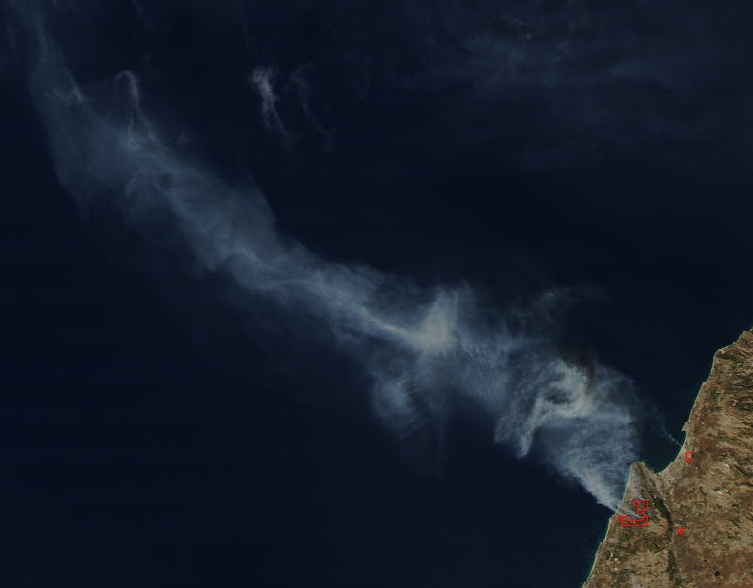 The Black Butterfly Effect אפקט הפרפר השחור: שריפת הכרמל Wildfire IL