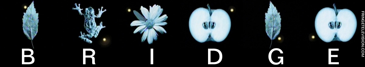 Fringe Television - Fan Site for the FOX TV Series Fringe: April 2010