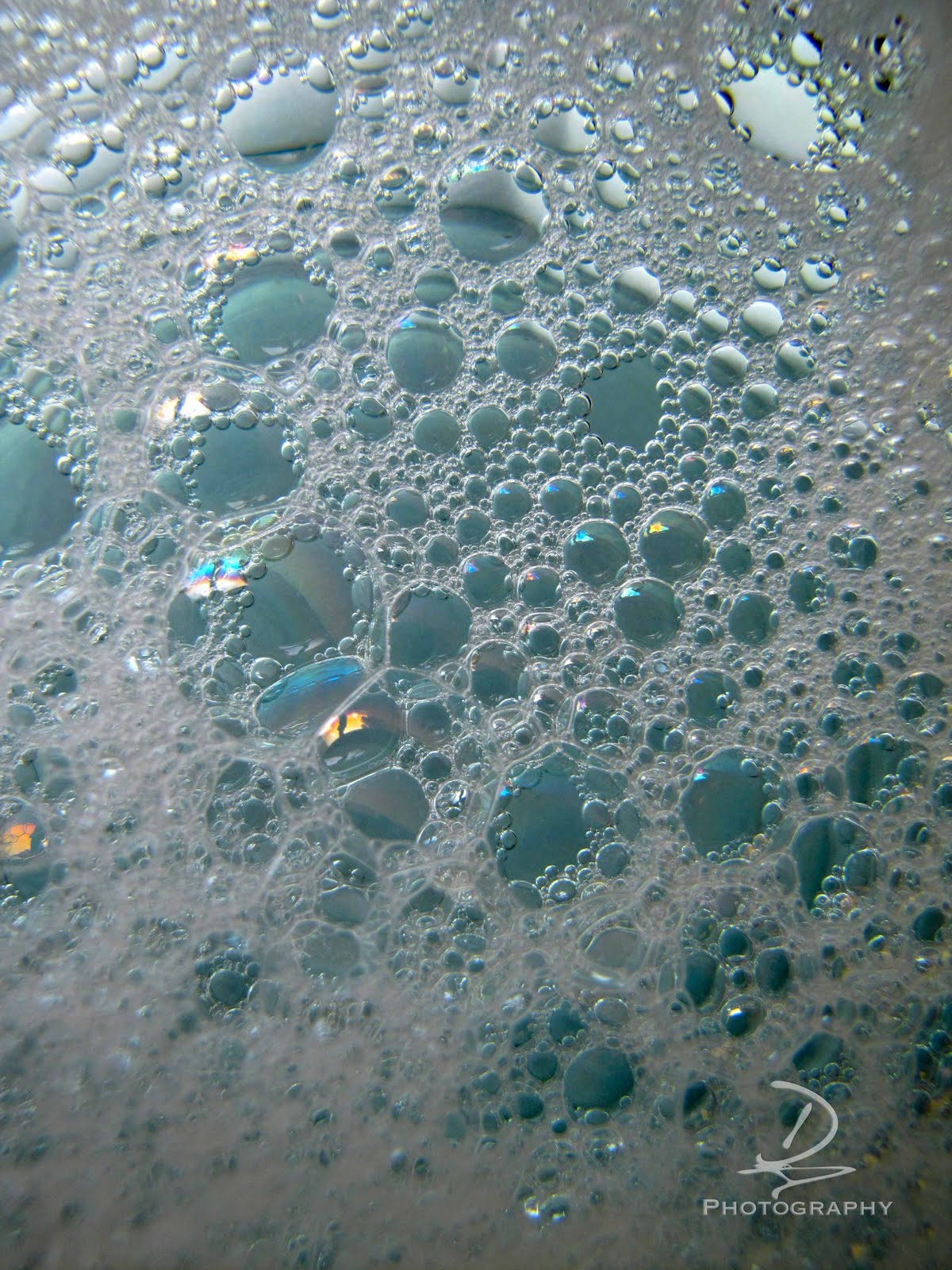 LL-365: Soapy Water Jan 25th