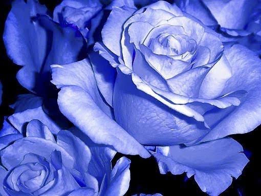 el color: COLOR AZUL.