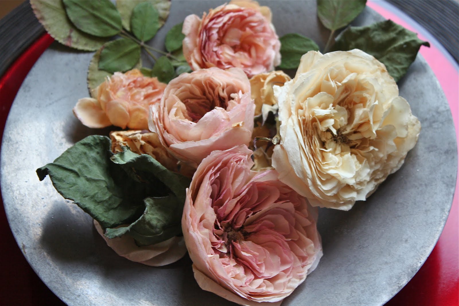 Garden Bytes from the Big Apple: REAL ROSES