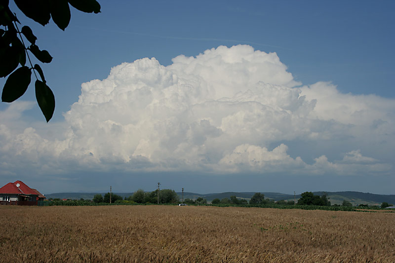 Thunderstorm Photography: multicell thunderstorms