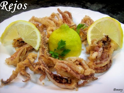 El Rincón de la Mariposa: Rejos