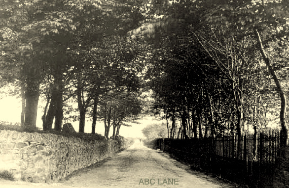 Hyde Cheshire Blog: ABC Lane