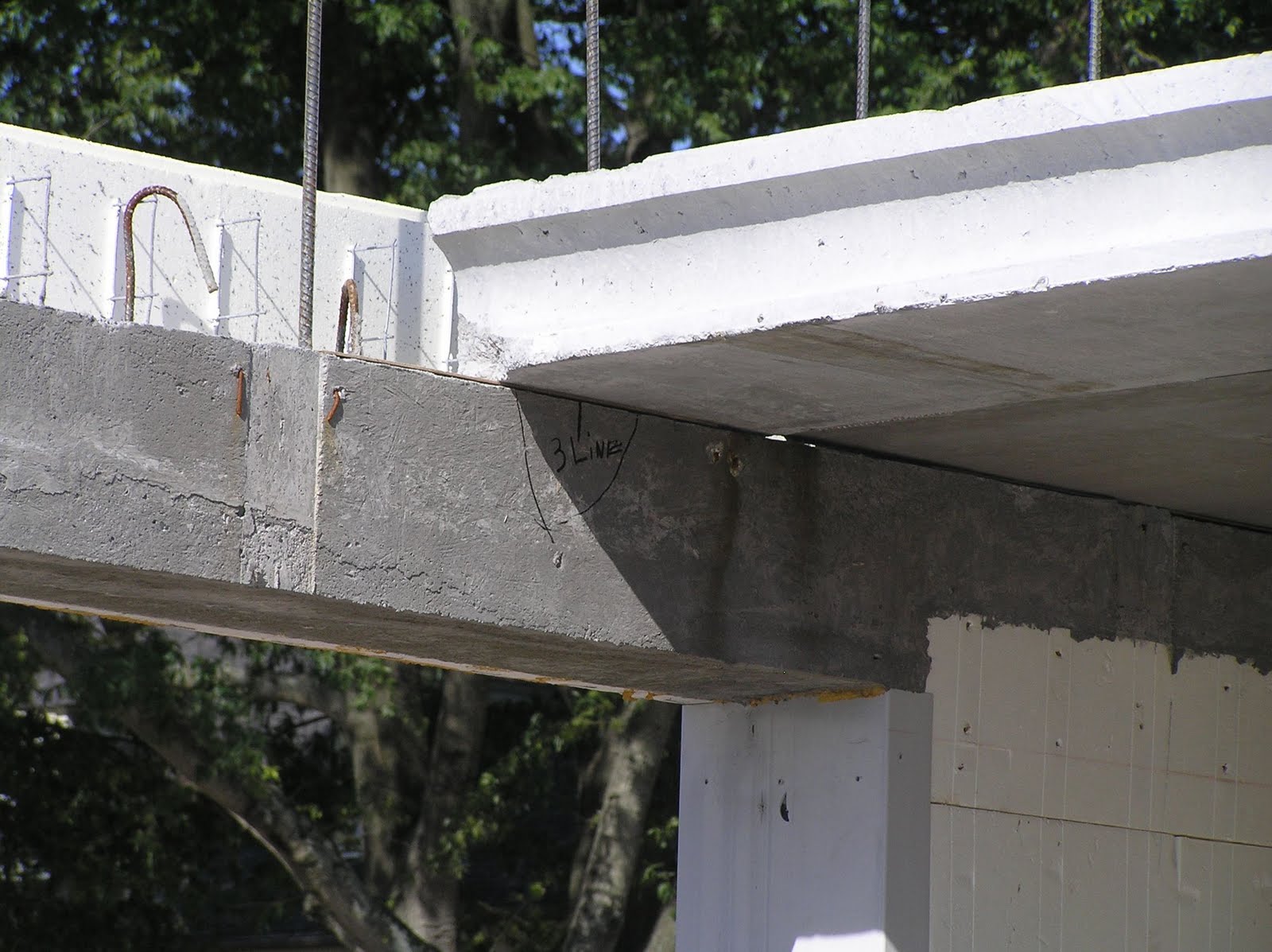 Carolina X Wall: The X Factor in Green Building: Hollow Core Details