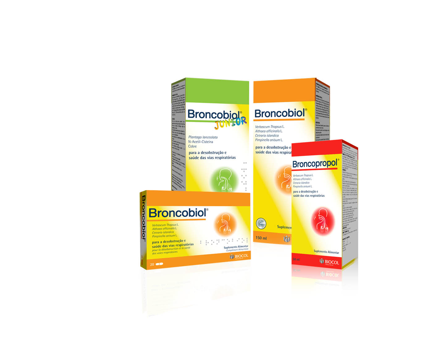 Noticias de Salud: Este invierno, no dejes que el resfriado te alcance