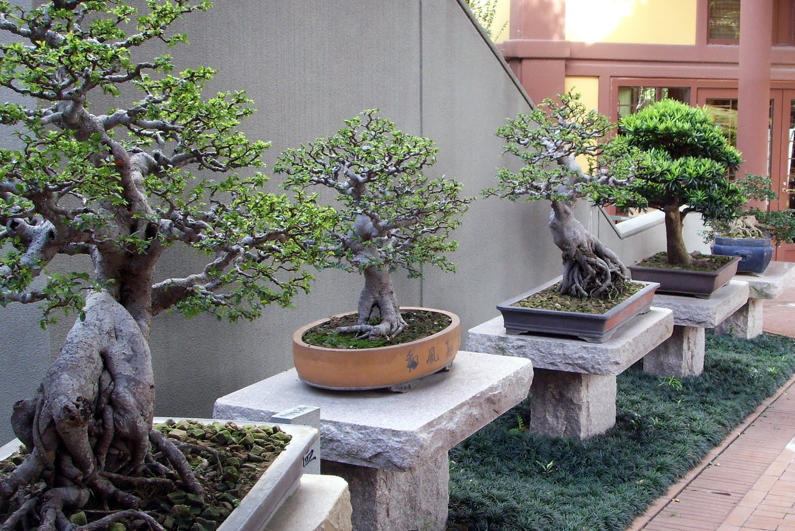 Calvin, Ashton, Camden, Coulton & Jace: Monkey Mountain, Nan Lian ...