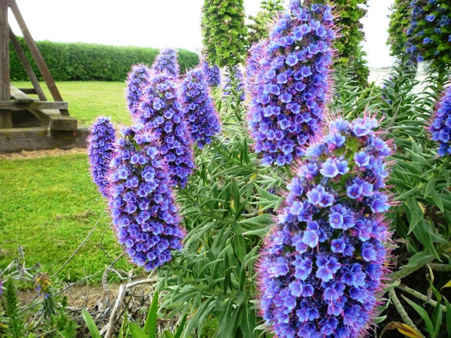 Siu~V: NZ Day 12 : Kaikoura